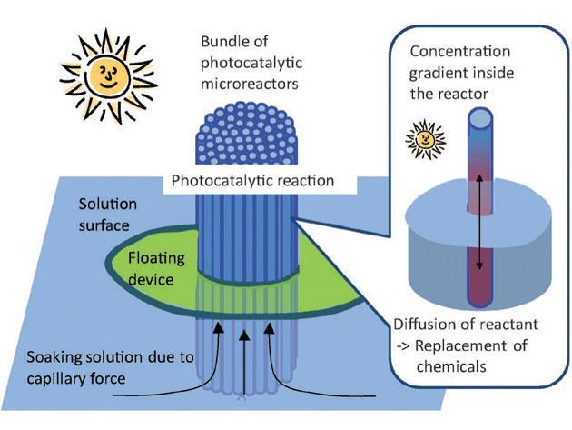 For clean water, just add sunlight | Research | Chemistry World