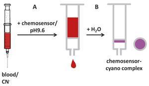 Eye spy cyanide | Research | Chemistry World