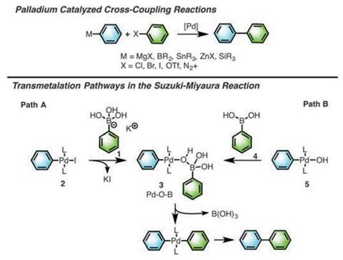 Elusive Suzuki intermediates finally captured | Research | Chemistry World